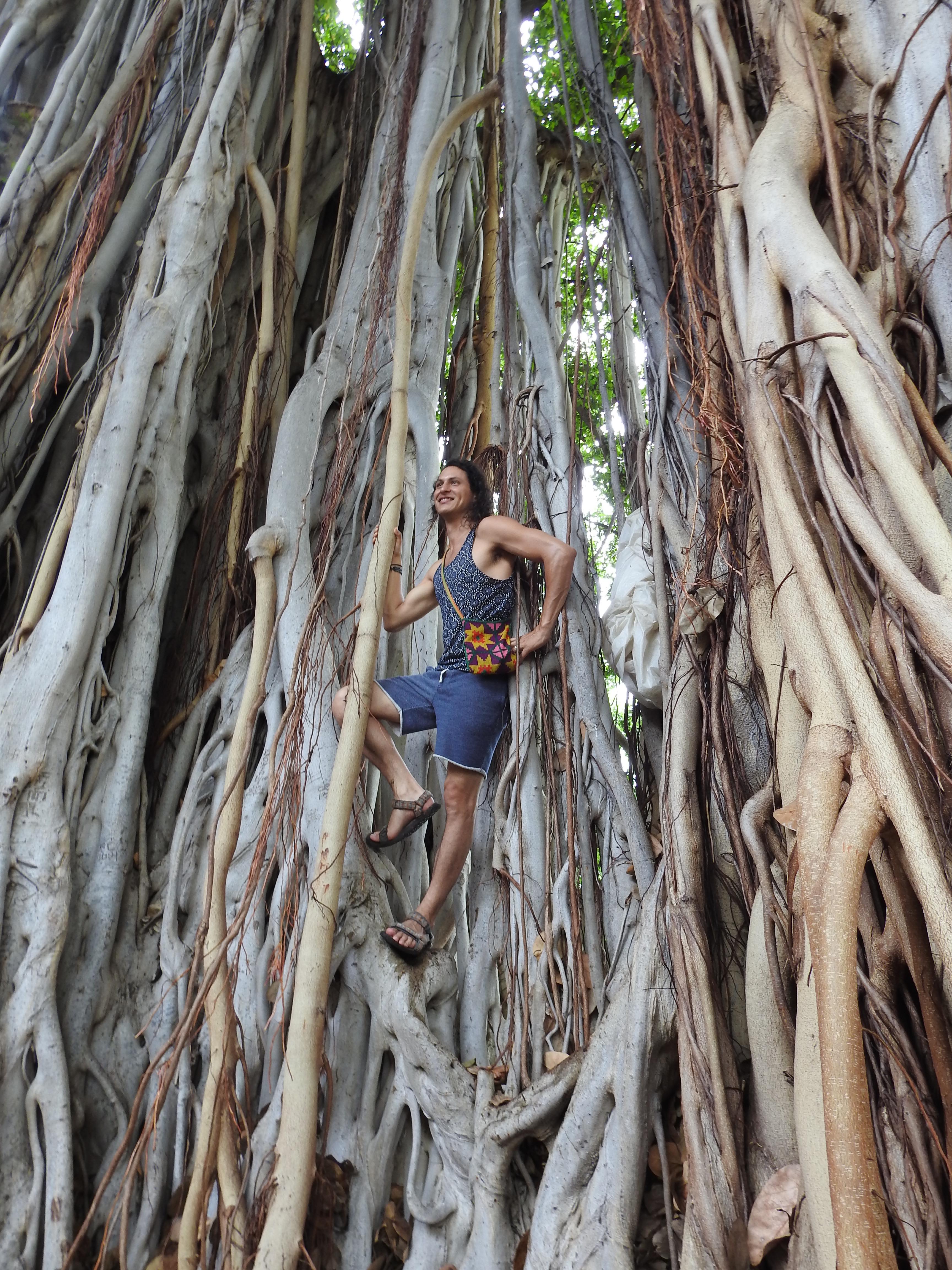 Alan Monroy Ojeda, Mexico – The Everyday Nature